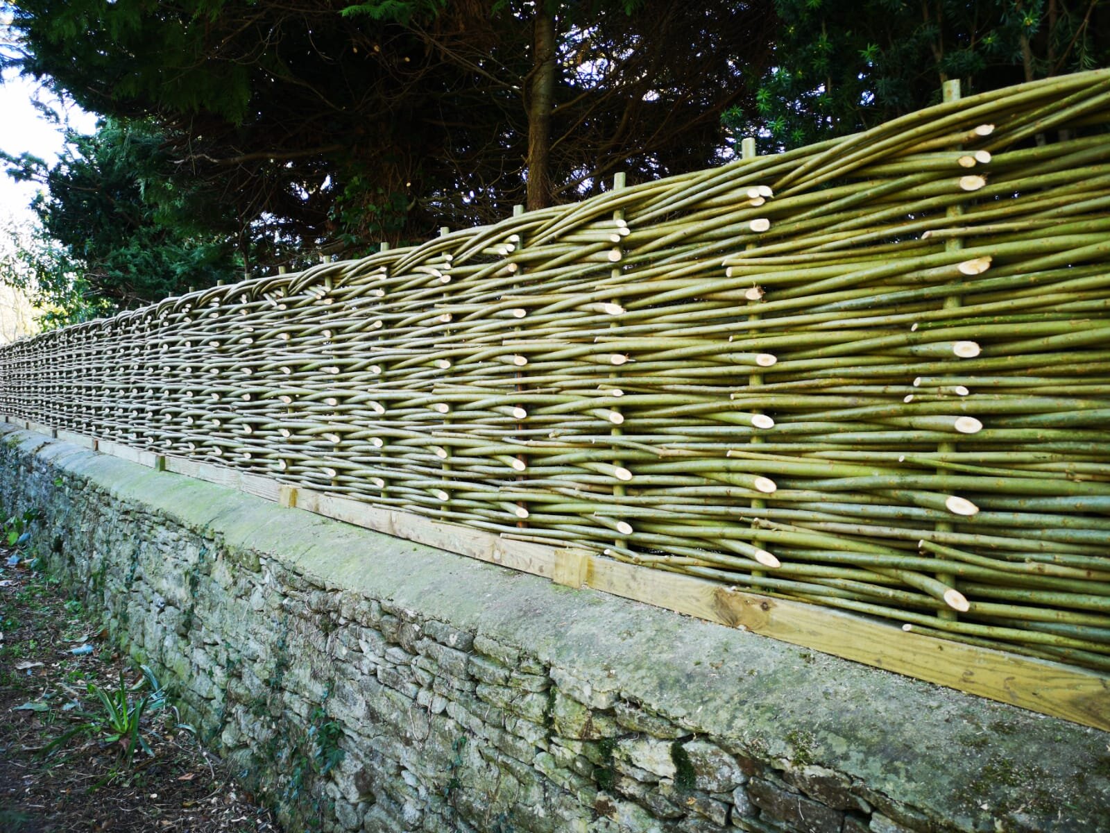 Woven Willow Privacy Extensions - WonderWood