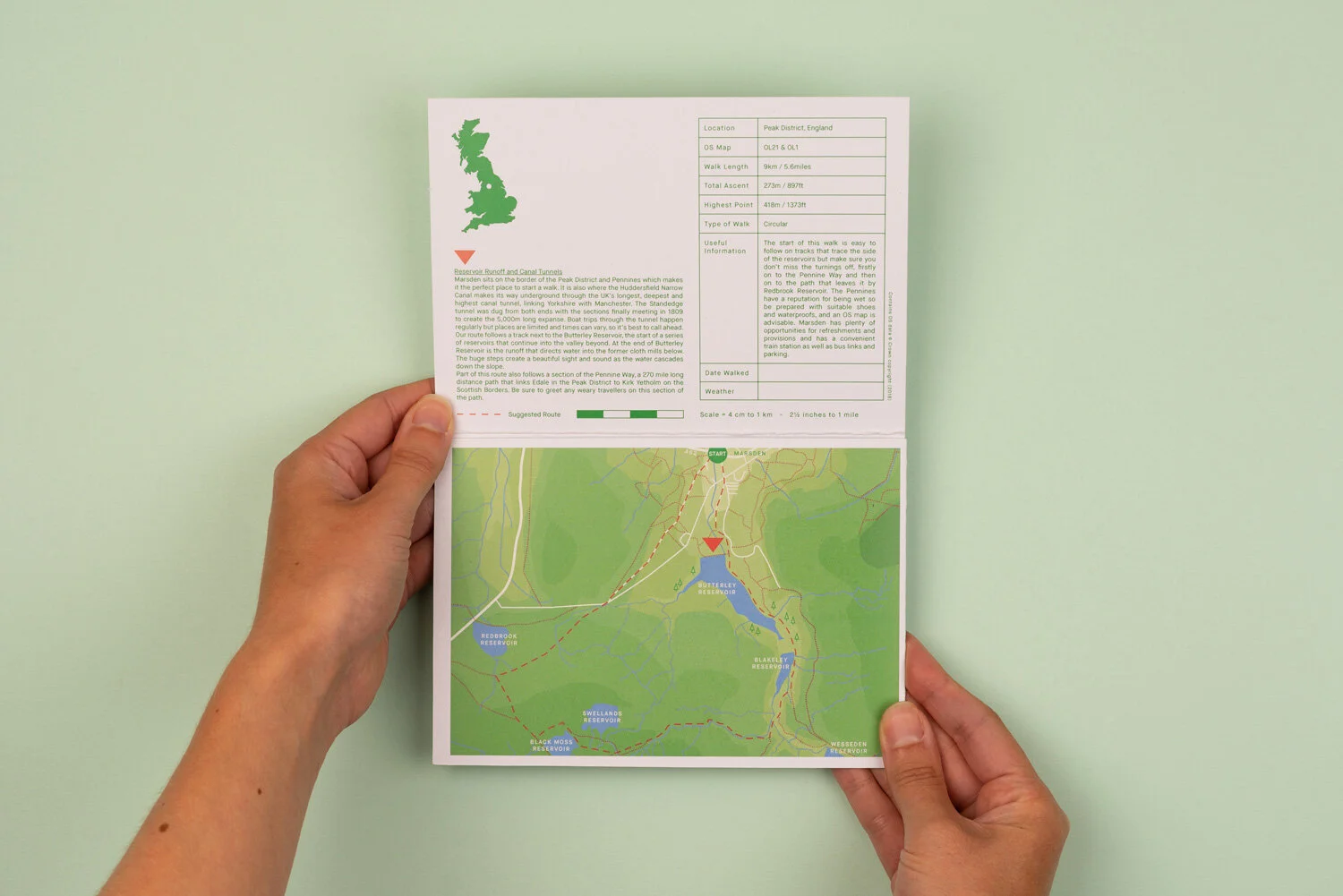 Trail Mail Subscription — THIS WAY