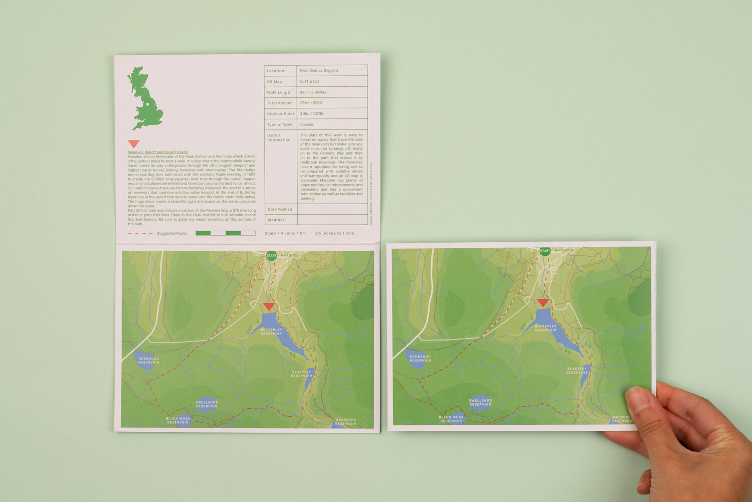 Trail Mail Subscription — THIS WAY