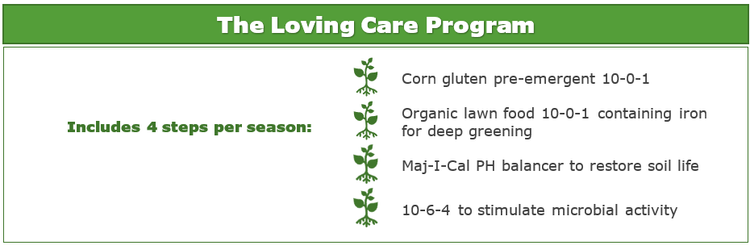 Lawn Treatment Programs — TLC Organic Lawn Care