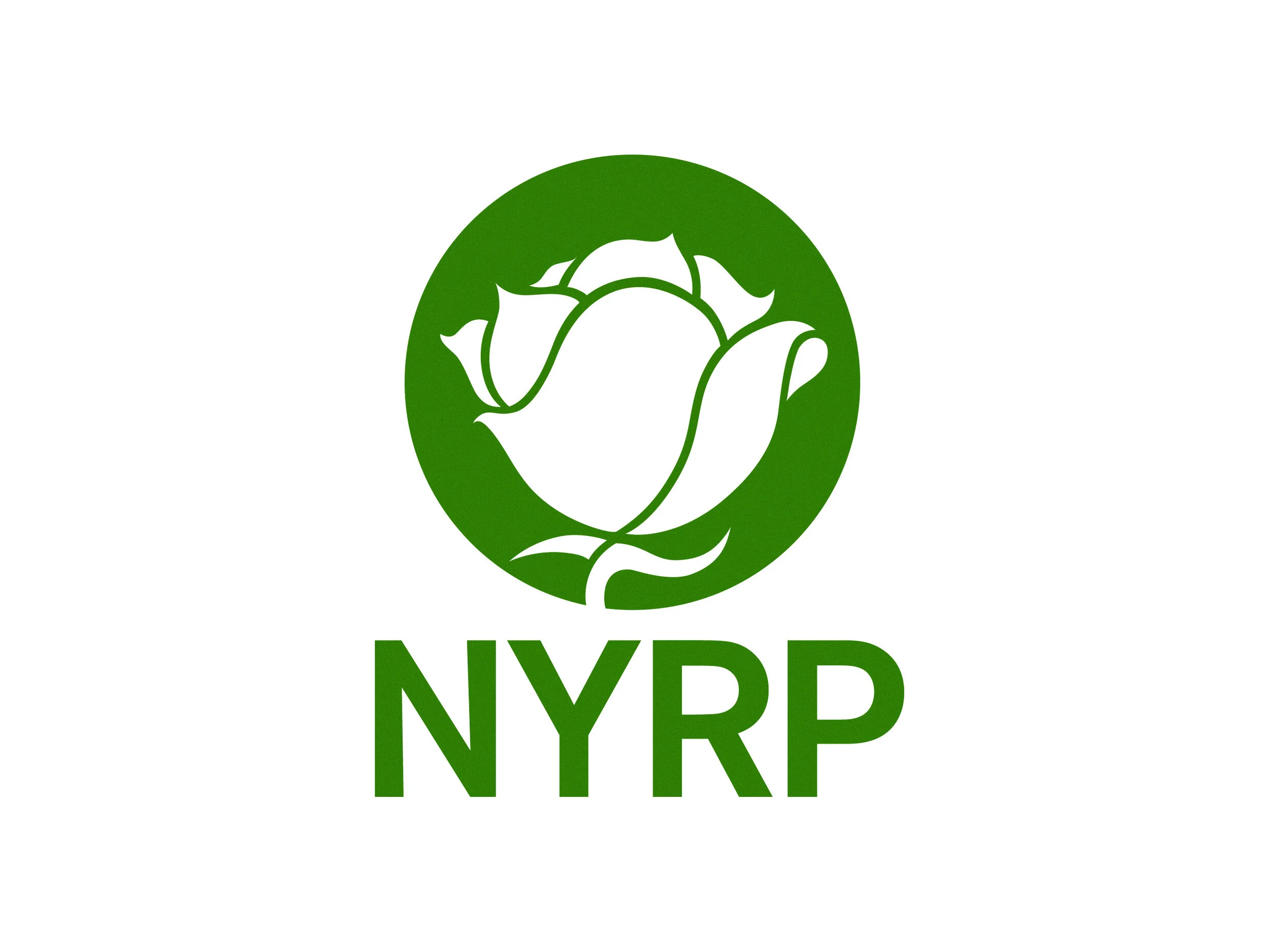 Board & Partners — New York State of Mind