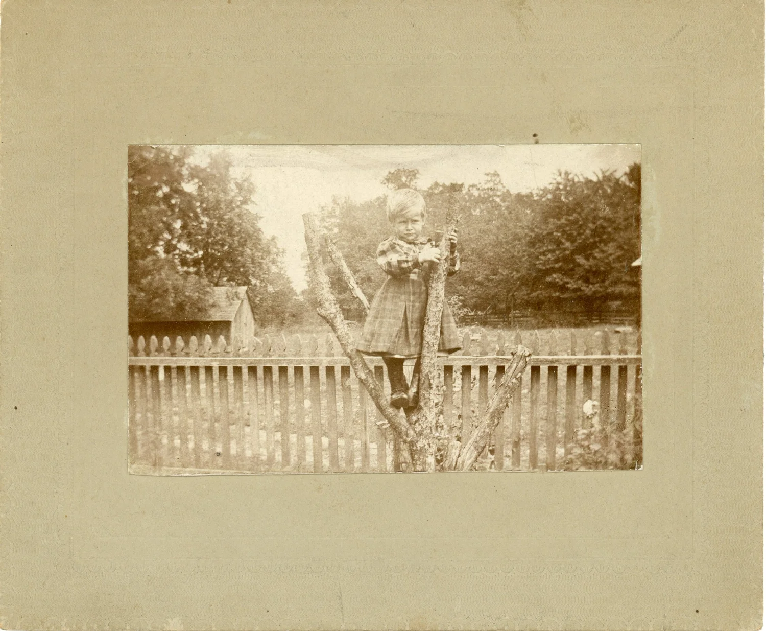 Pierce Children — Centre County Library & Historical Museum