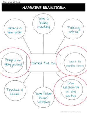 Narrative Writing Mini-Lesson: Narrow Focus — TeachWriting.org