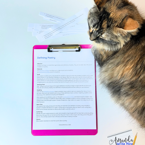 12 Super Fun Poetry Lesson Plans for Middle and High School ...