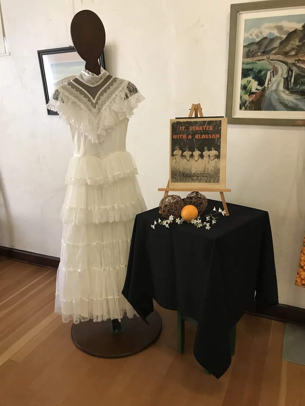 Lindsay Museum and Gallery