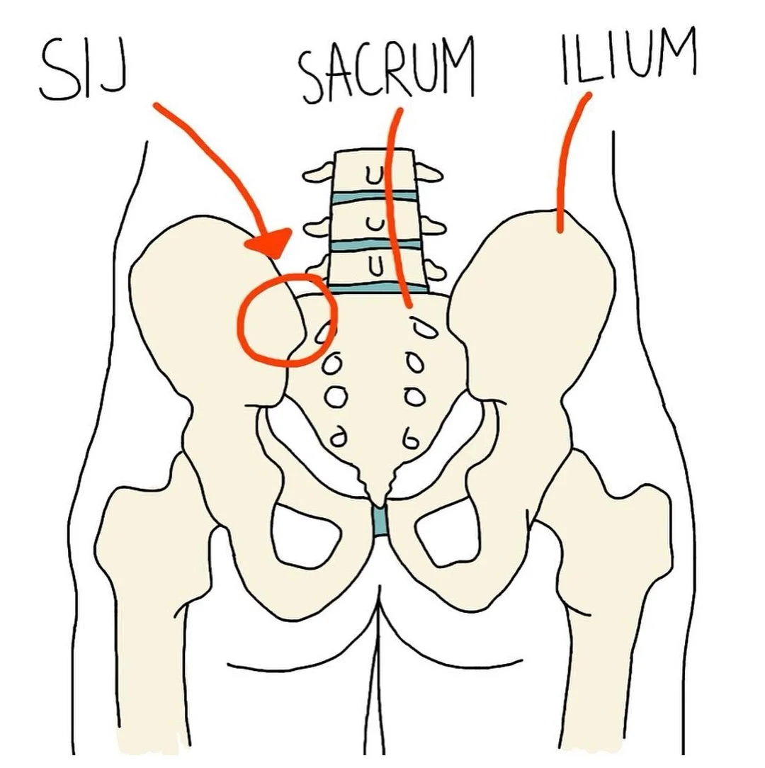 The SIJ (Sacroiliac Joint) — | Naas Osteopaths | Kildare Osteopath | Children's Osteopath ...