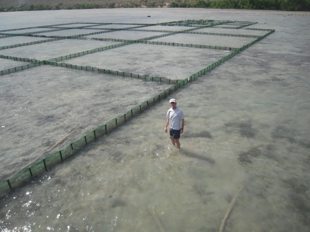 Contact IOT — Indian Ocean Trepang