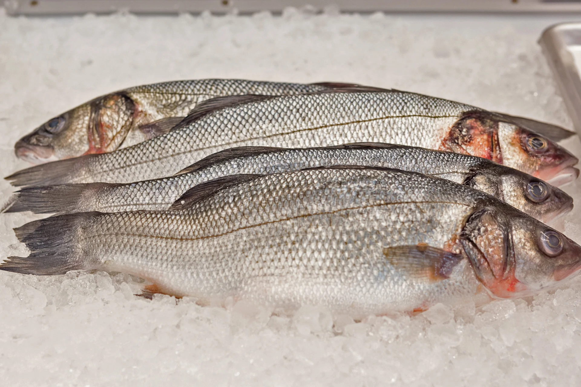 General Harvest Restaurants