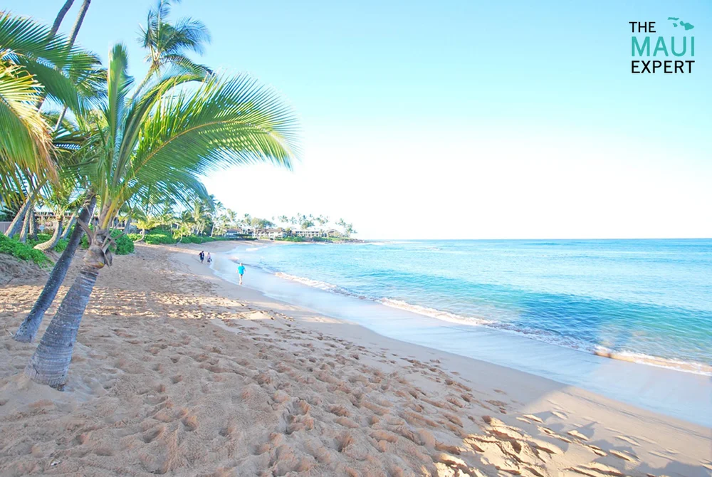 The Maui Expert — Napili Bay Maui