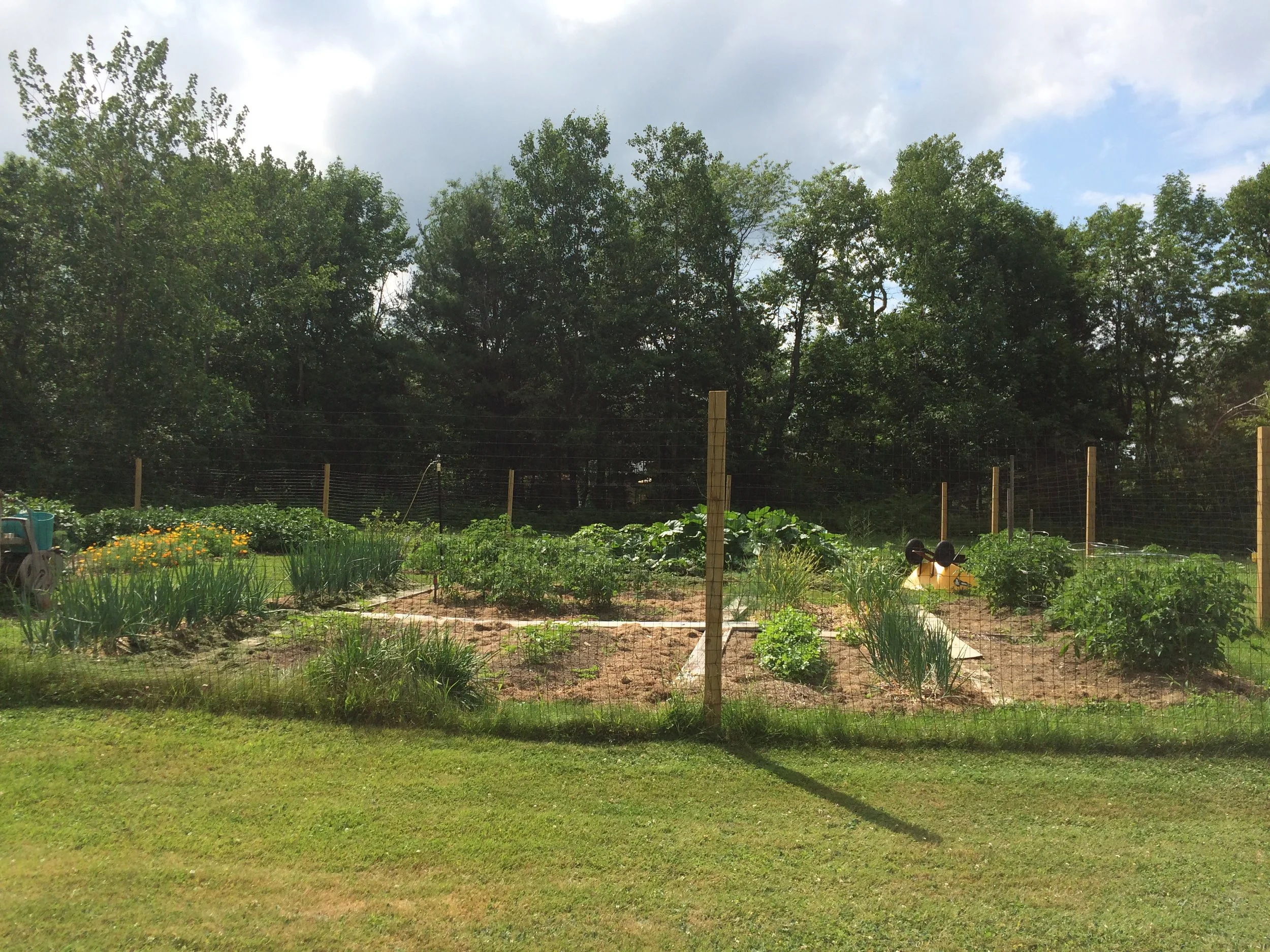 The Farm — Lazy Acres Farm