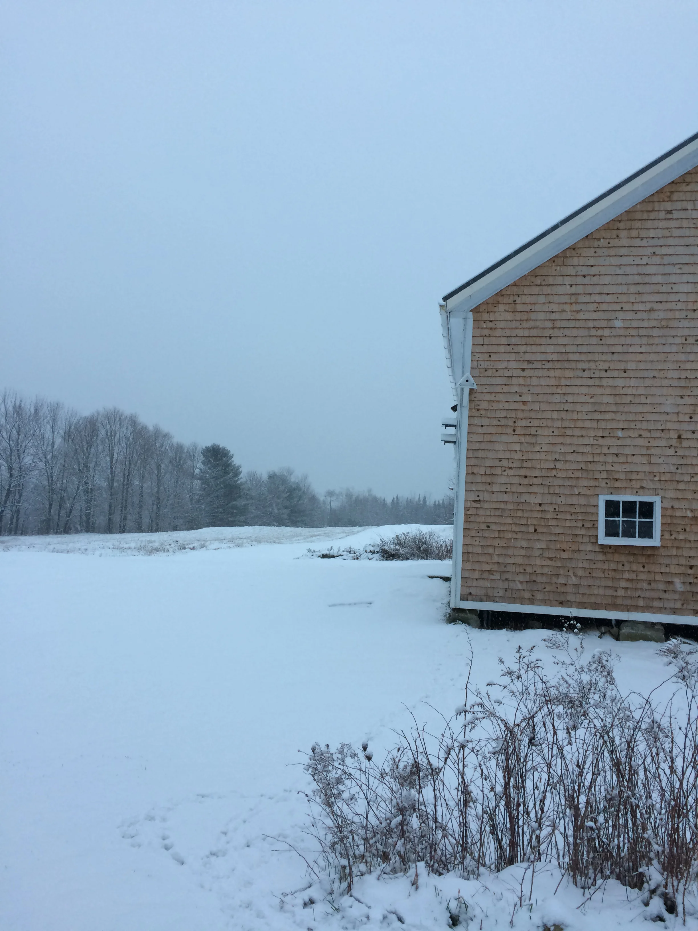 The Farm — Lazy Acres Farm