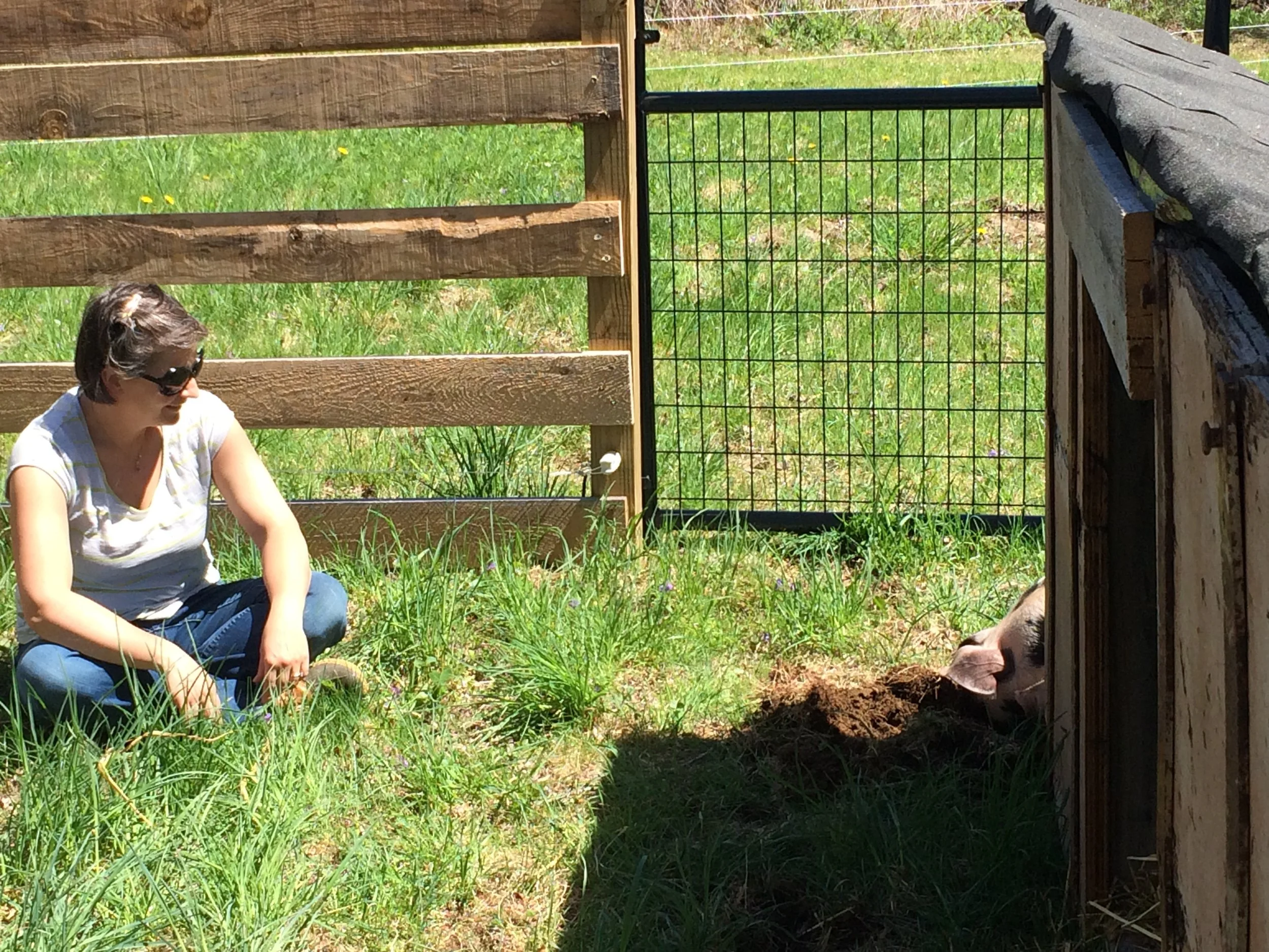 About Us — Lazy Acres Farm