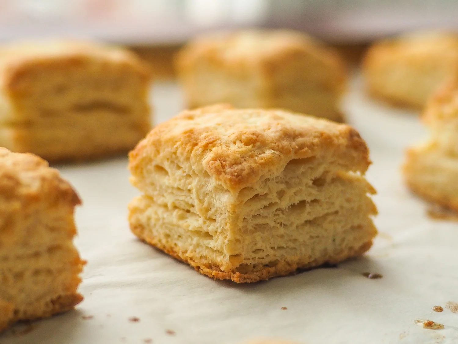 BA’s Best: Buttermilk Biscuits — Some Like It Salty