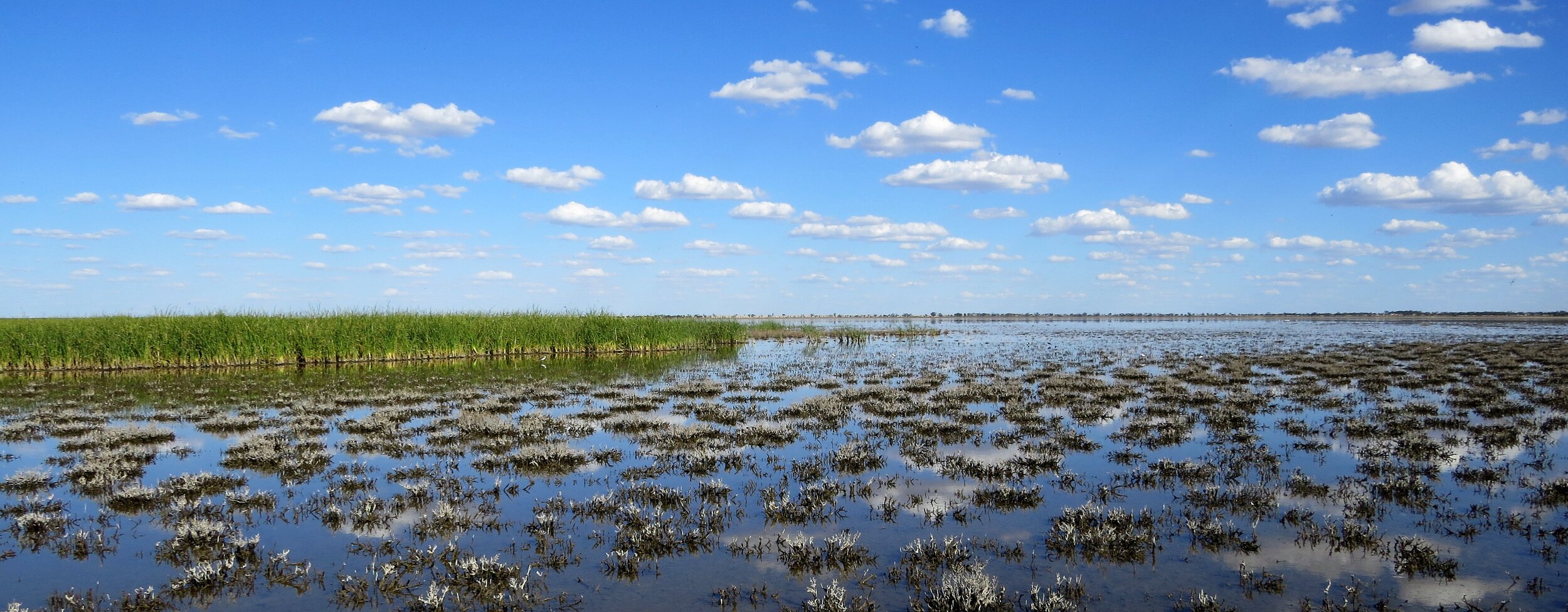 The Riverina — Birding Victoria