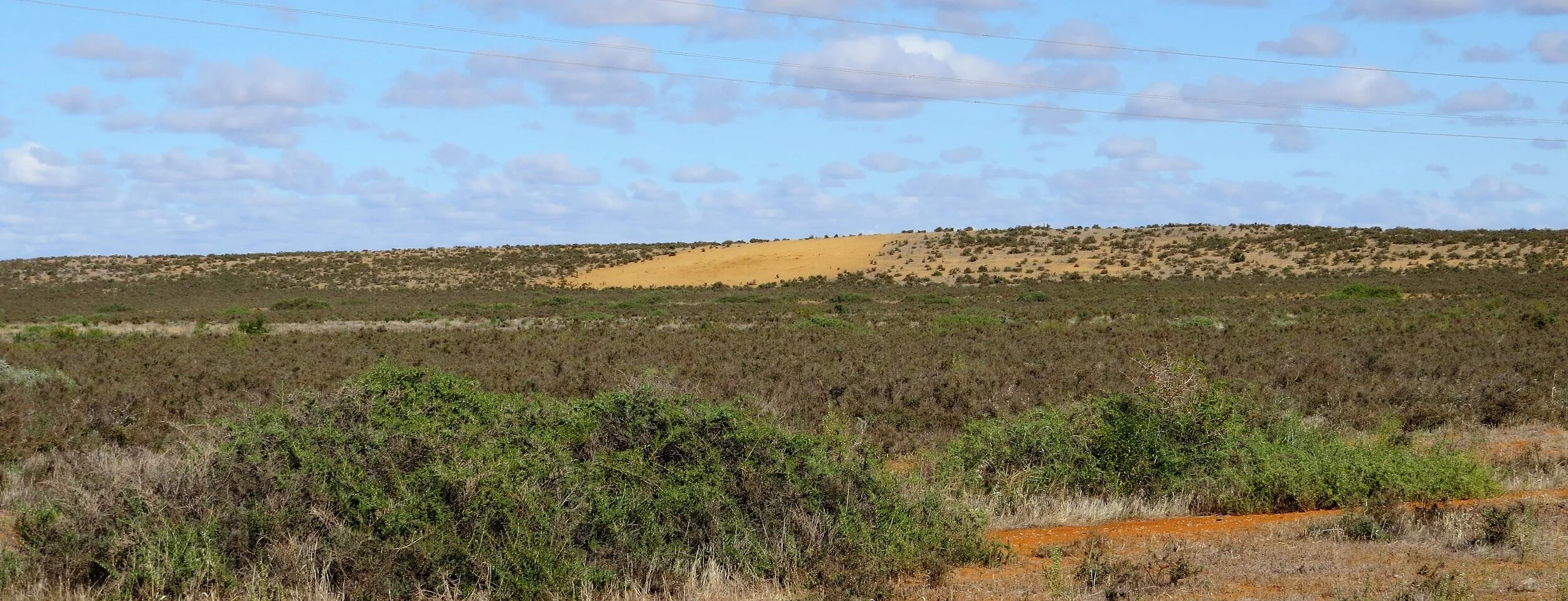 The Riverina — Birding Victoria