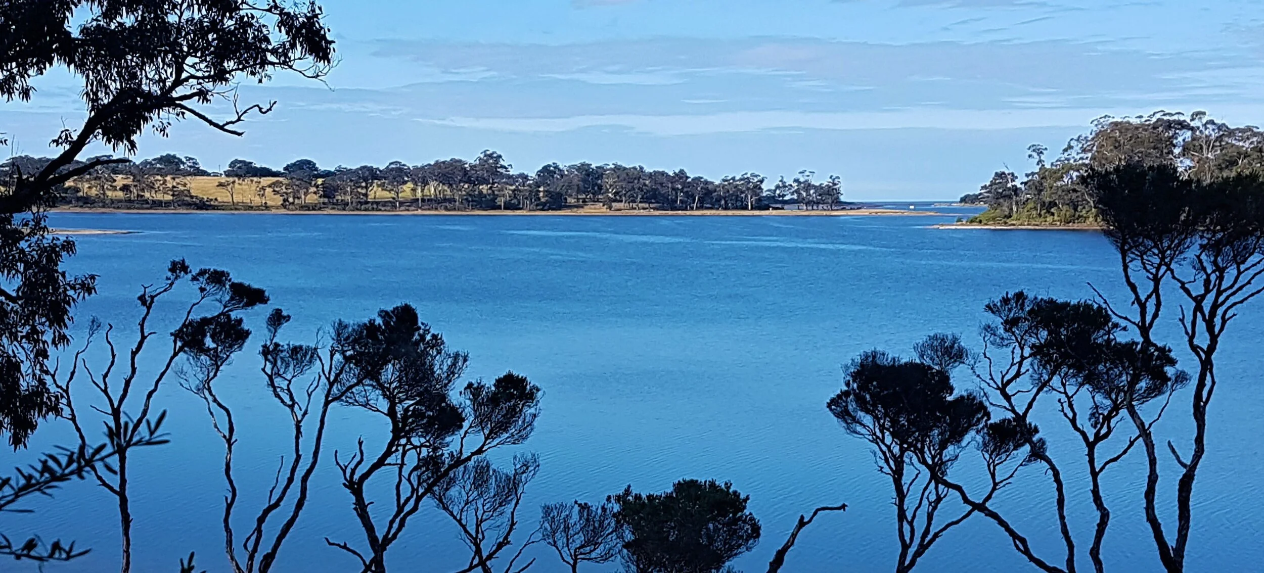 Gippsland — Birding Victoria
