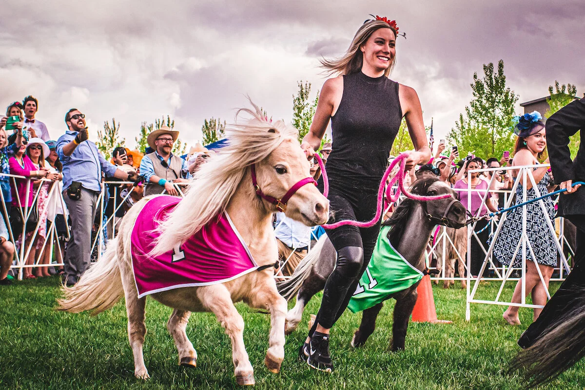 The Denver Mini Derby