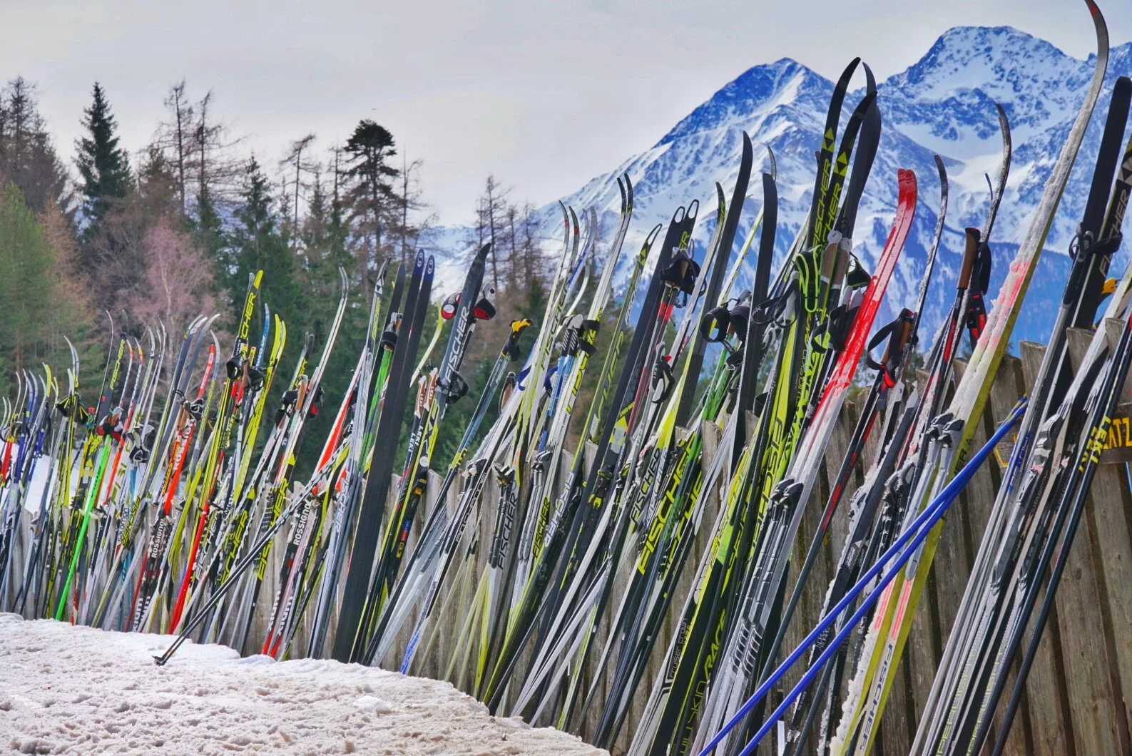 Montana — Lumi Experiences