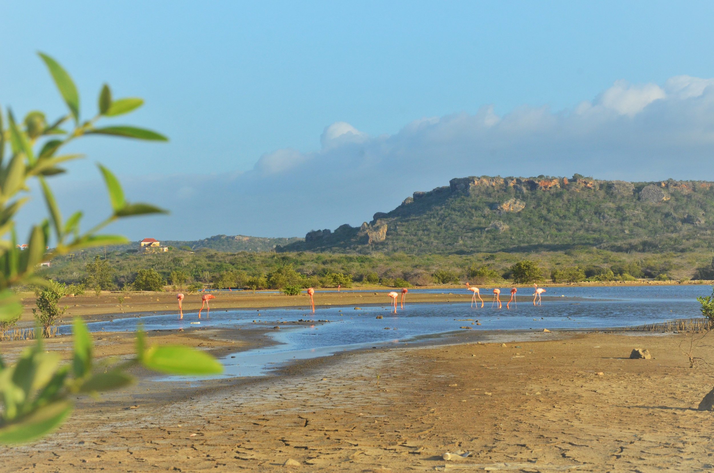 Gone Caribe - Beach Hopping Tour