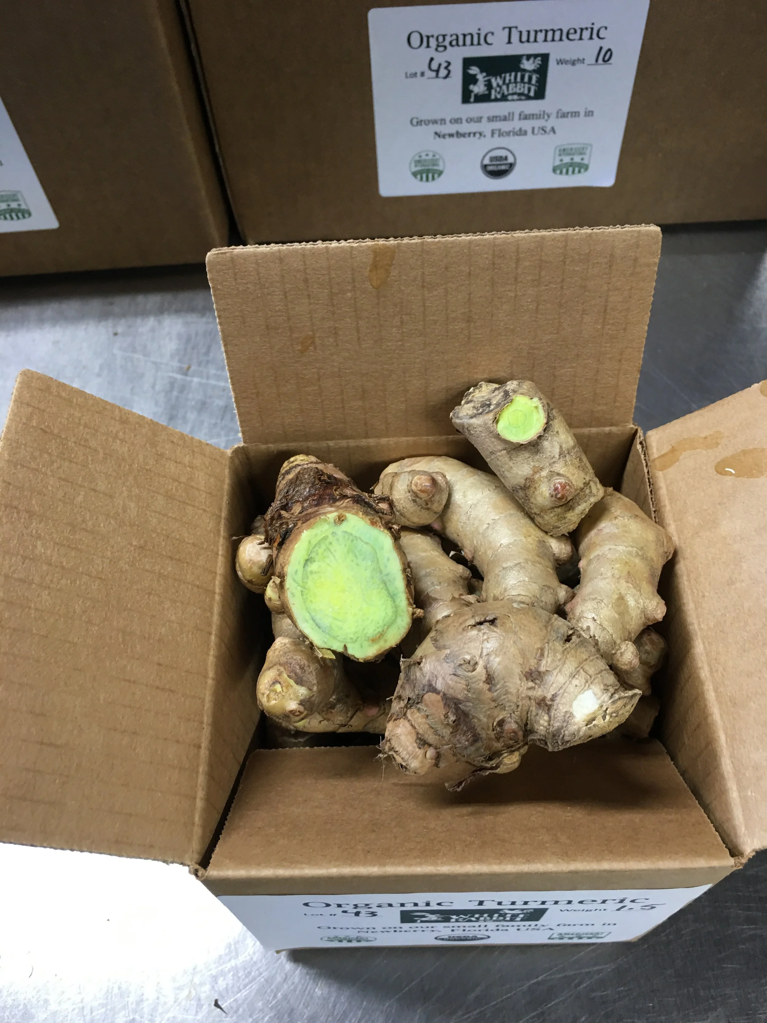 Organic Green Turmeric 5 Pounds — White Rabbit Acres