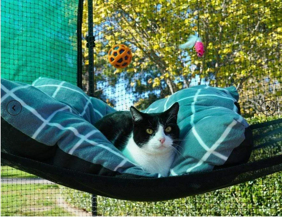 Portable Catios — Cats Safe at Home