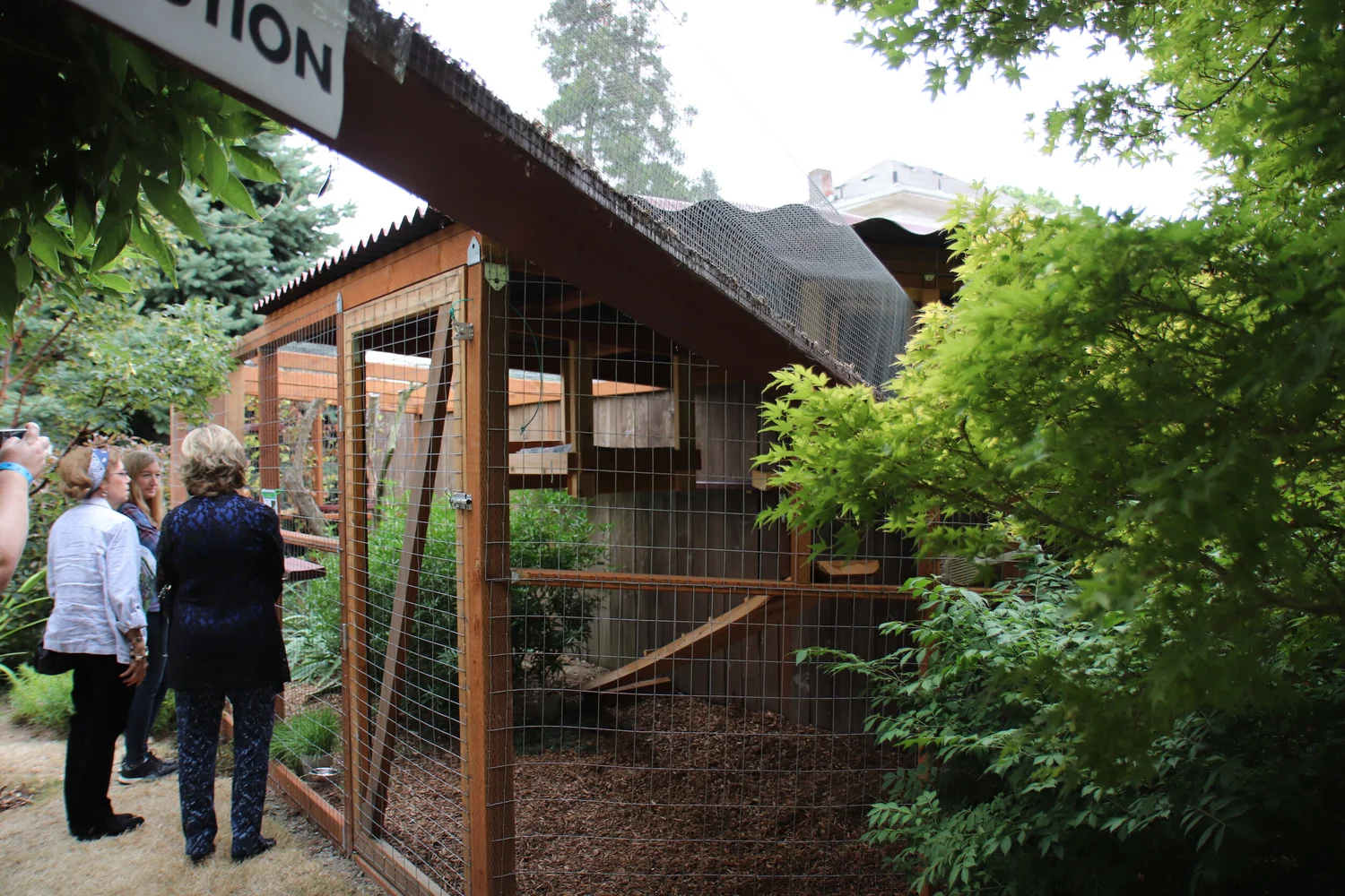 Catio — Cats Safe at Home