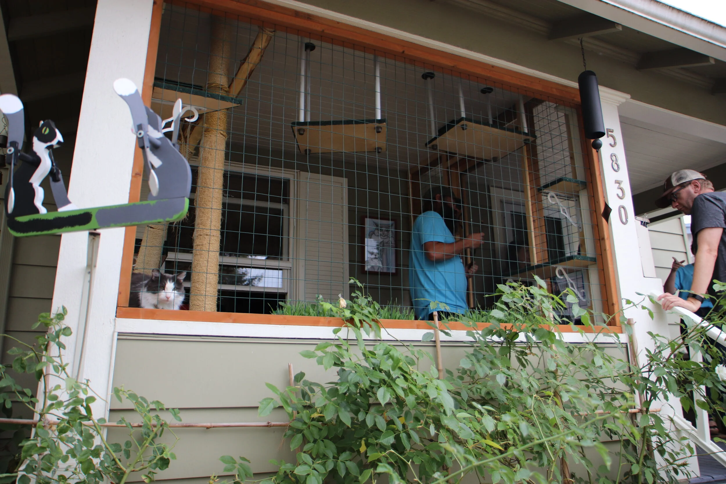 Catio — Cats Safe at Home