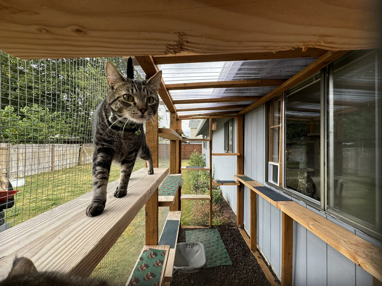 The Catio Tour: Self-guided tour of outdoor cat enclosures in Portland ...