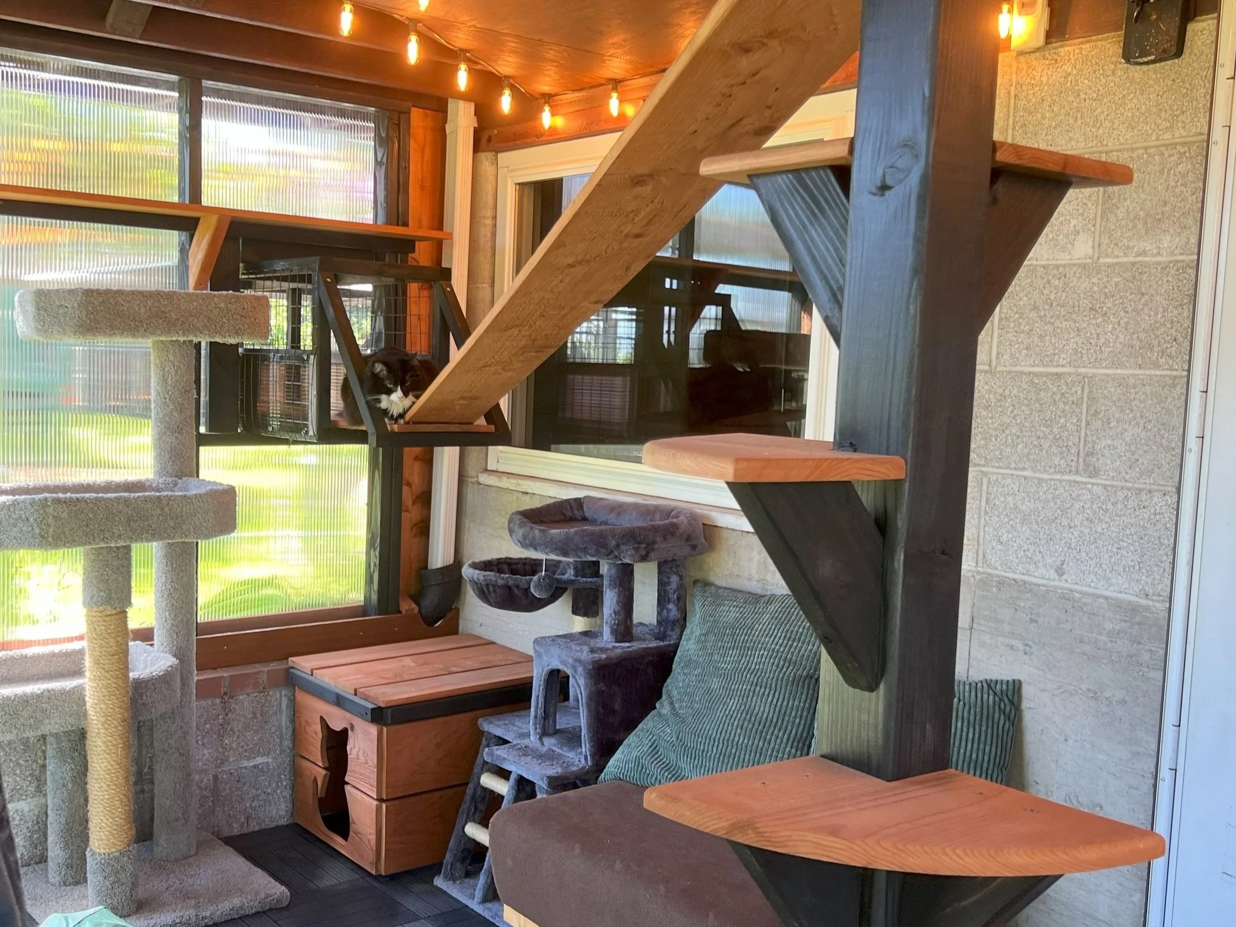 The Catio Tour: Self-guided tour of outdoor cat enclosures in Portland ...