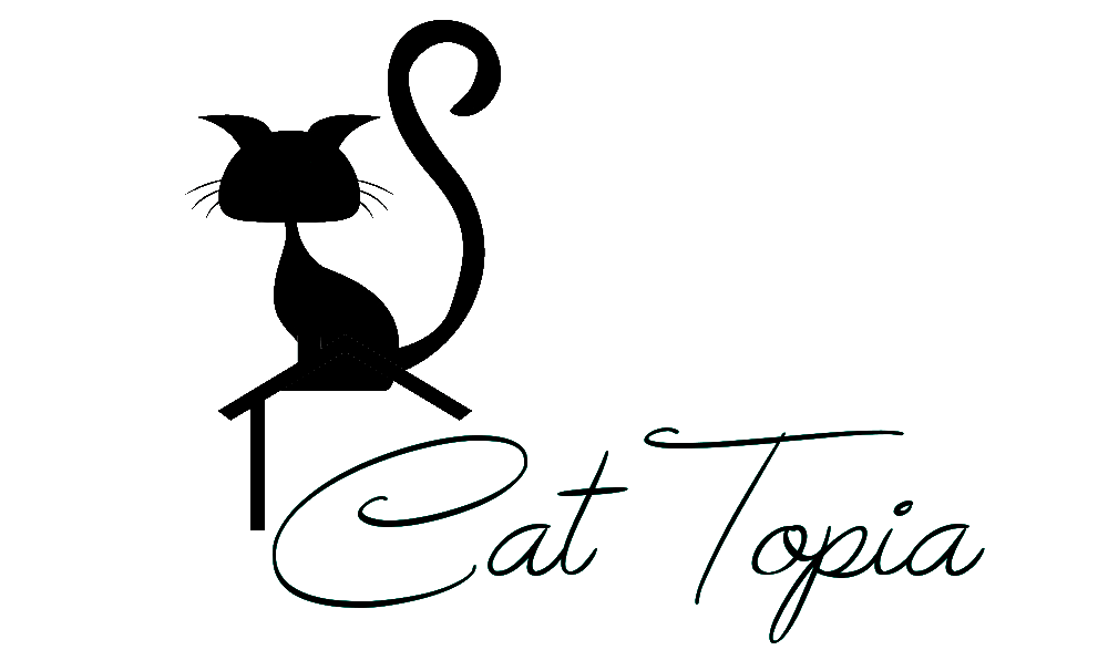 Catio Resources: Construction + More! — Cats Safe at Home