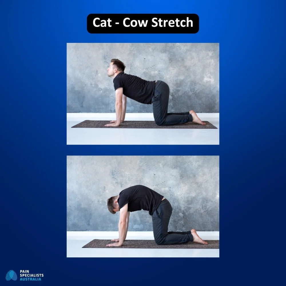 5 Best Stretches for Back Pain Relief | Loosen Tight Muscles at Home ...