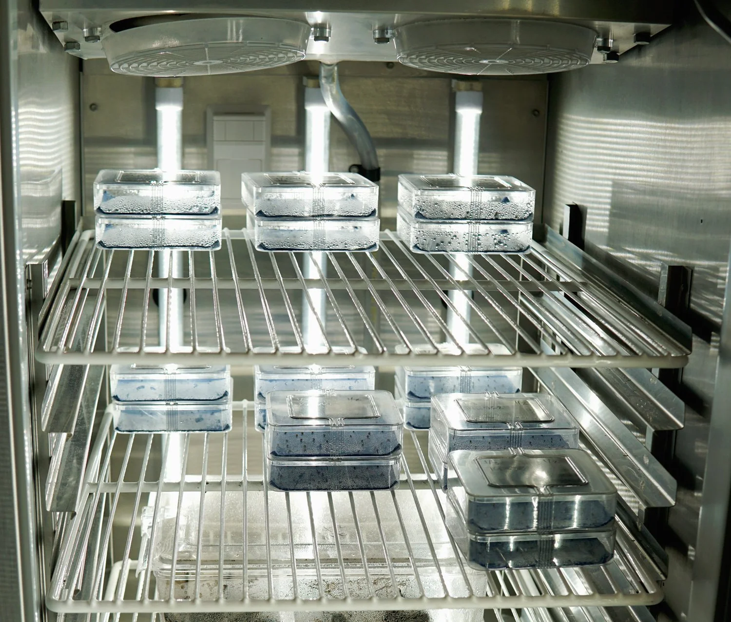 Behind the Scenes of our Seed Filling Department — Territorial Seed ...