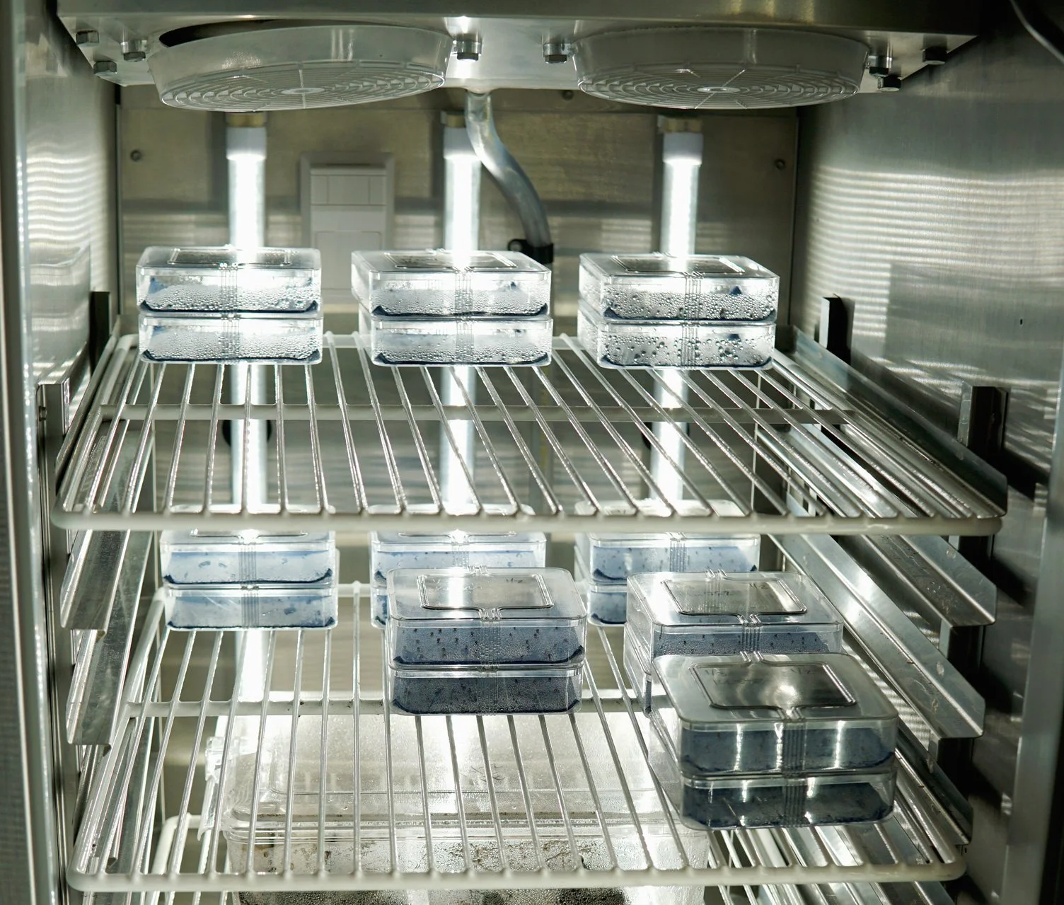 Behind the Scenes of our Seed Filling Department — Territorial Seed ...