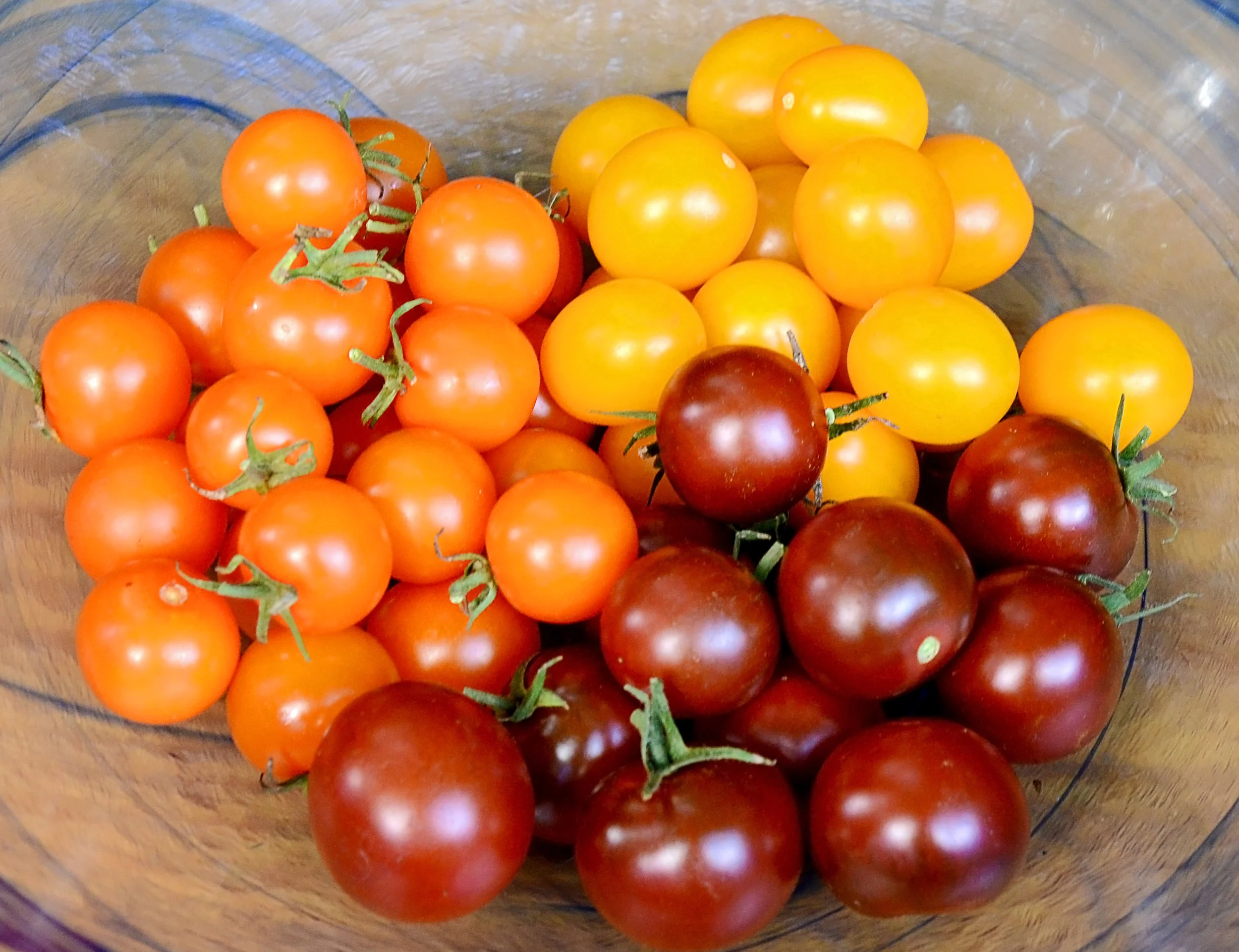 Tomato Talk: Tips & Techniques for a Healthy, Tasty Crop — Territorial ...