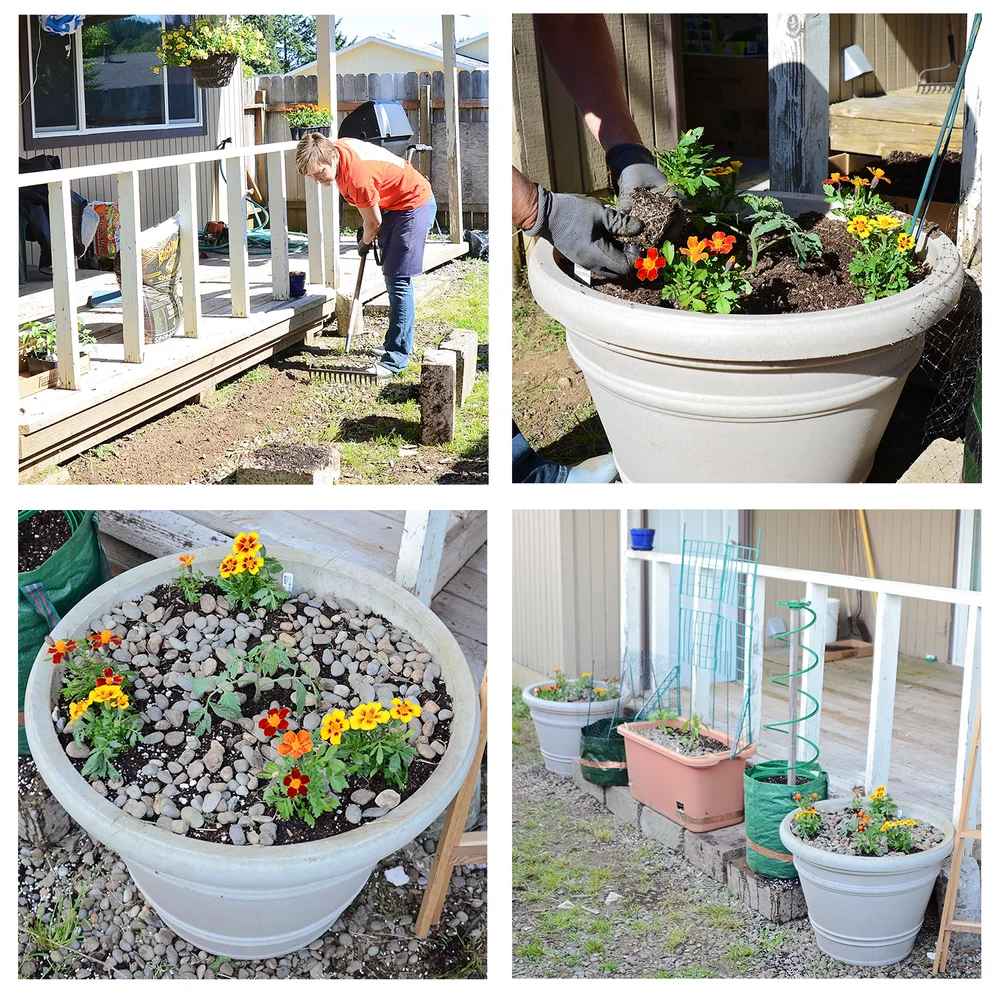 Tips For First Time Gardeners From First Time Gardeners — Territorial ...