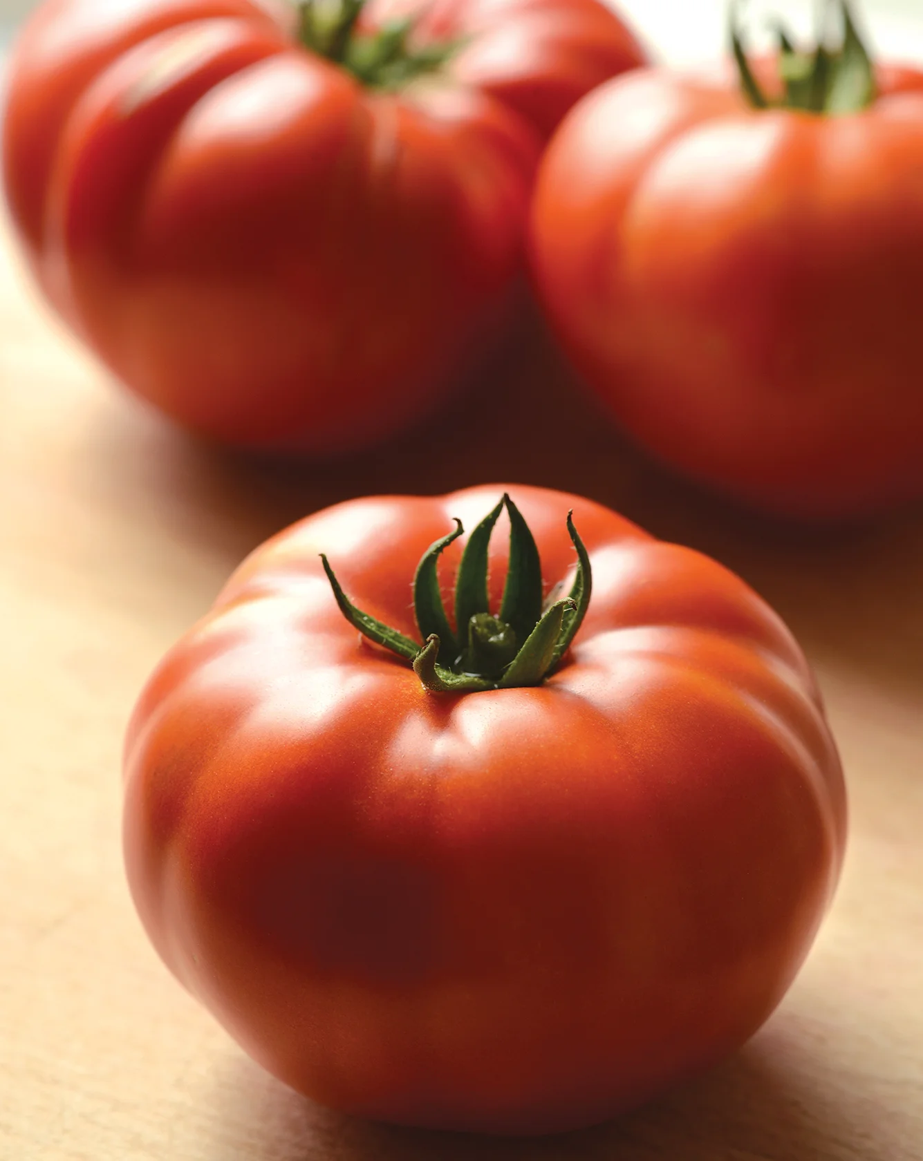 A Sneak Peek of our 2016 Spring Catalog — Territorial Seed Company Blog