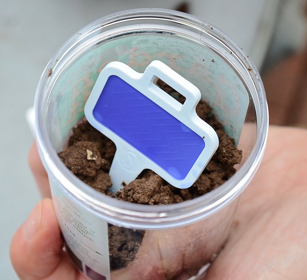 Soil Testing Part II—Digging Deeper — Territorial Seed Company Blog