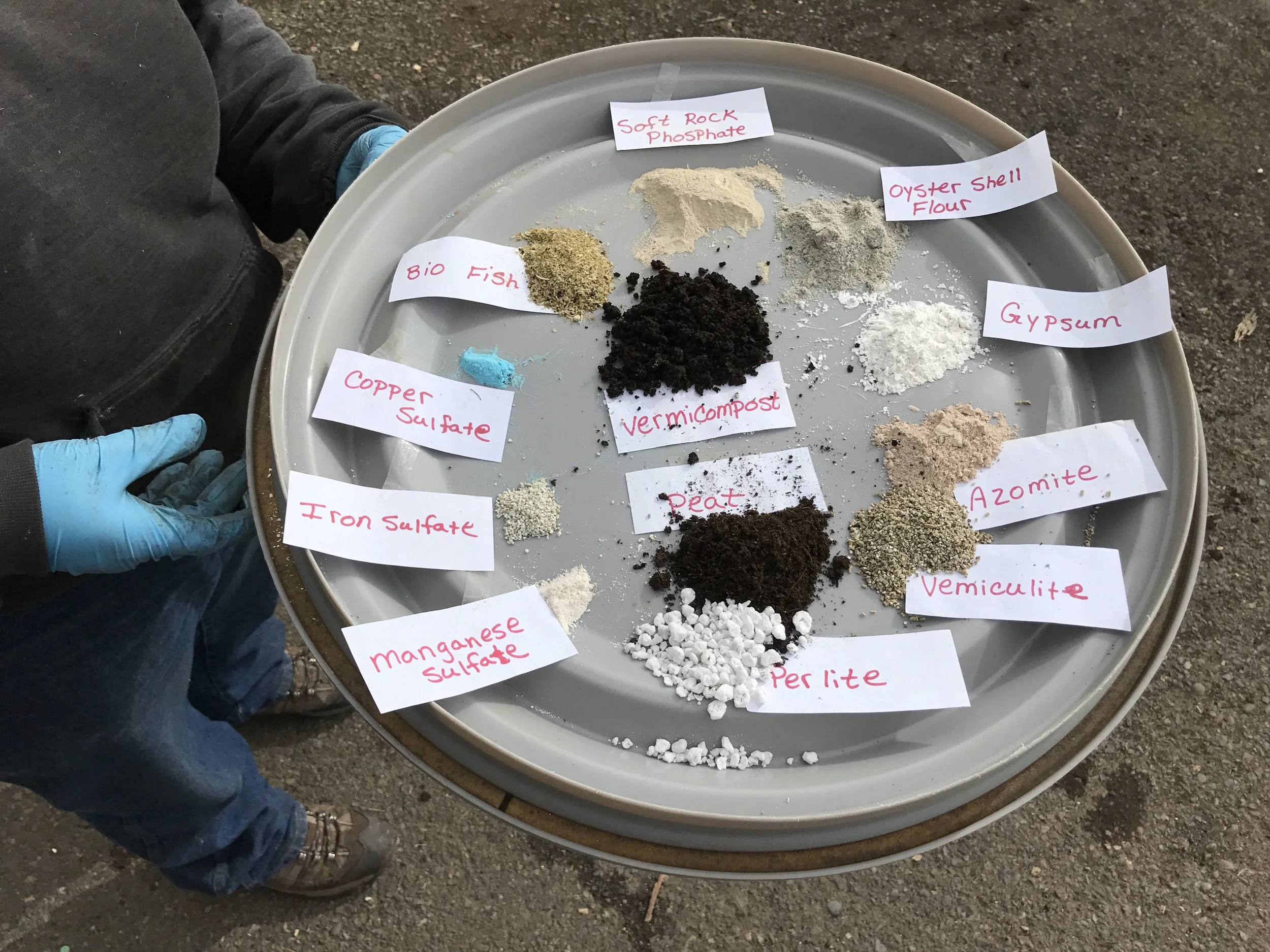 Soil Testing Part II—Digging Deeper — Territorial Seed Company Blog