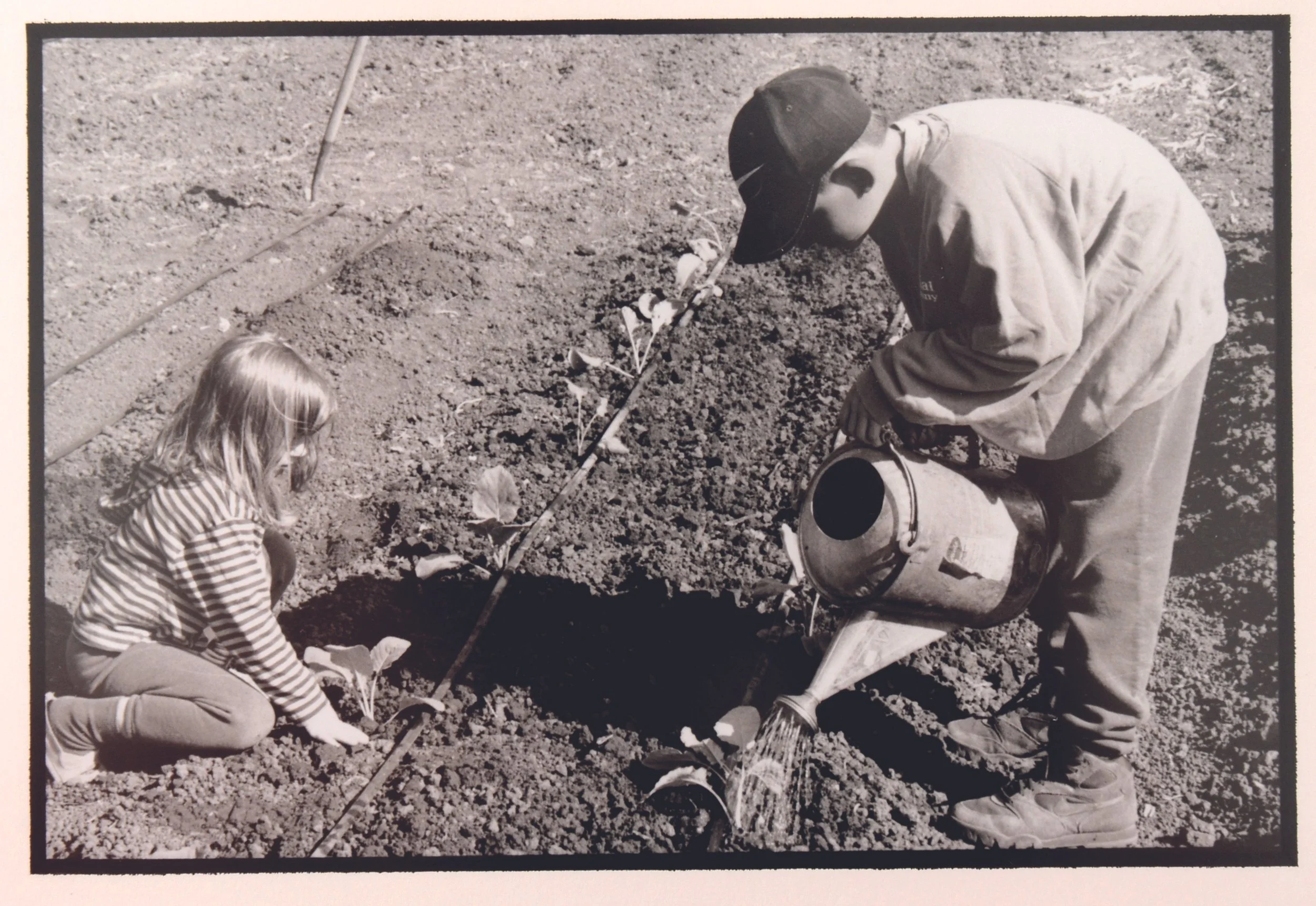 We Will Always Come Back to our Roots — Territorial Seed Company Blog