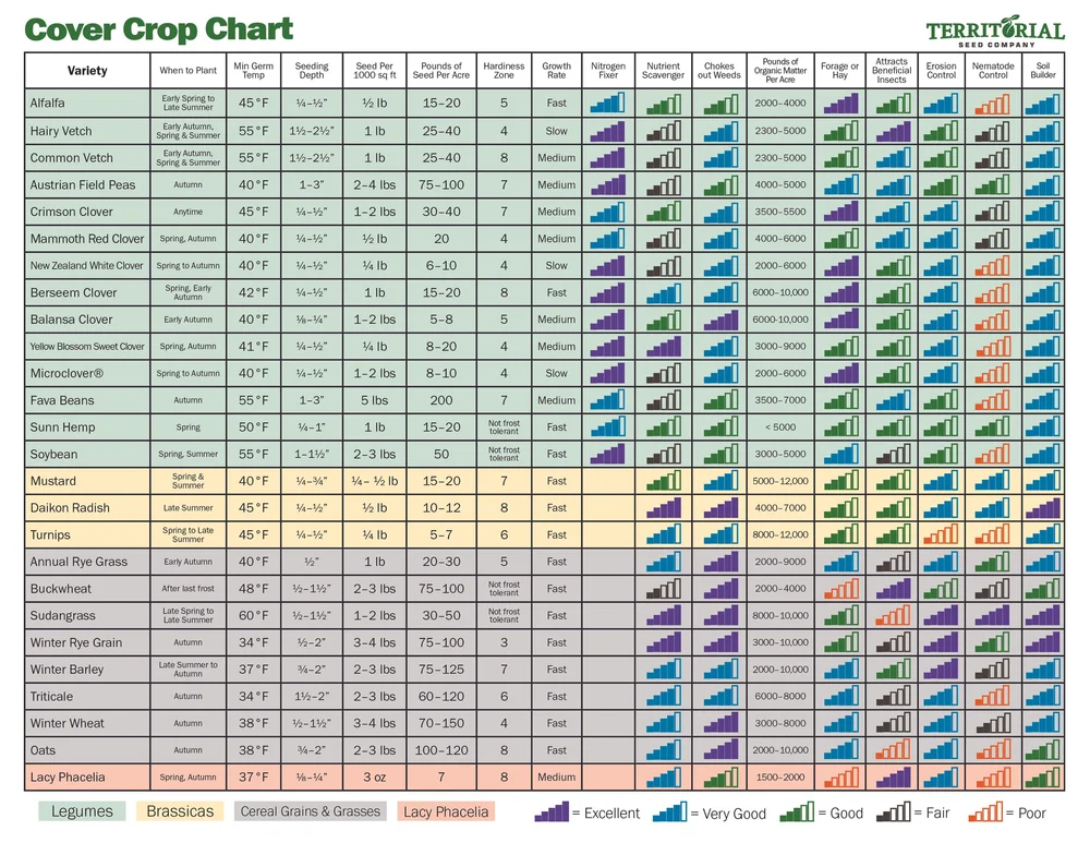 Top 5 Cover Crops for Your Garden — Territorial Seed Company Blog