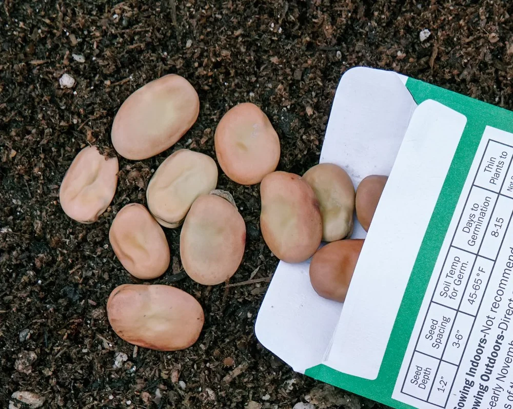 Common Gardening Questions and Answers — Territorial Seed Company Blog