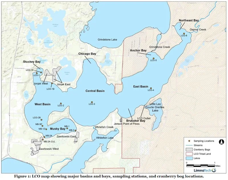 Water Quality -2021 — COURTE OREILLES LAKES ASSOCIATION