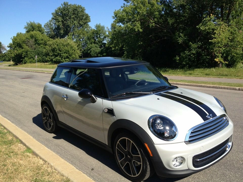 Book 5: Mookie's Mini Rescue — MookieTheBeagle.com