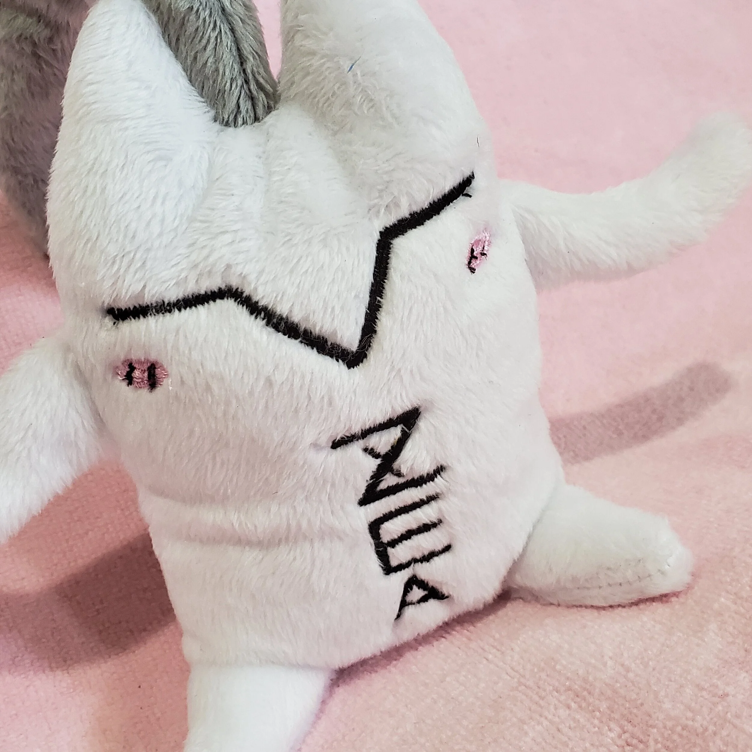 Store — Lexiipantz