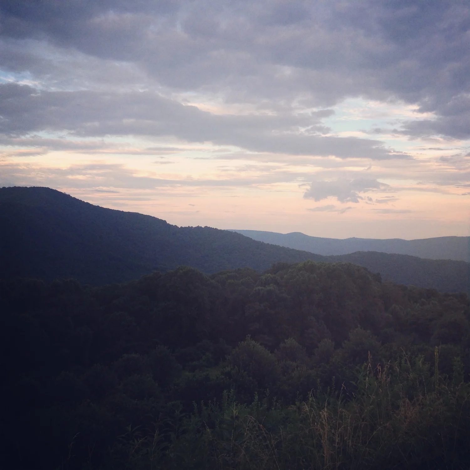 Susan Tracy Occupational Therapy