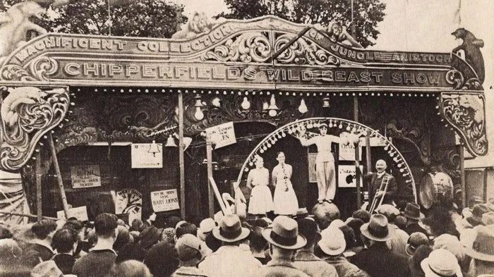 How to say Circus — The Centre for Circus Culture