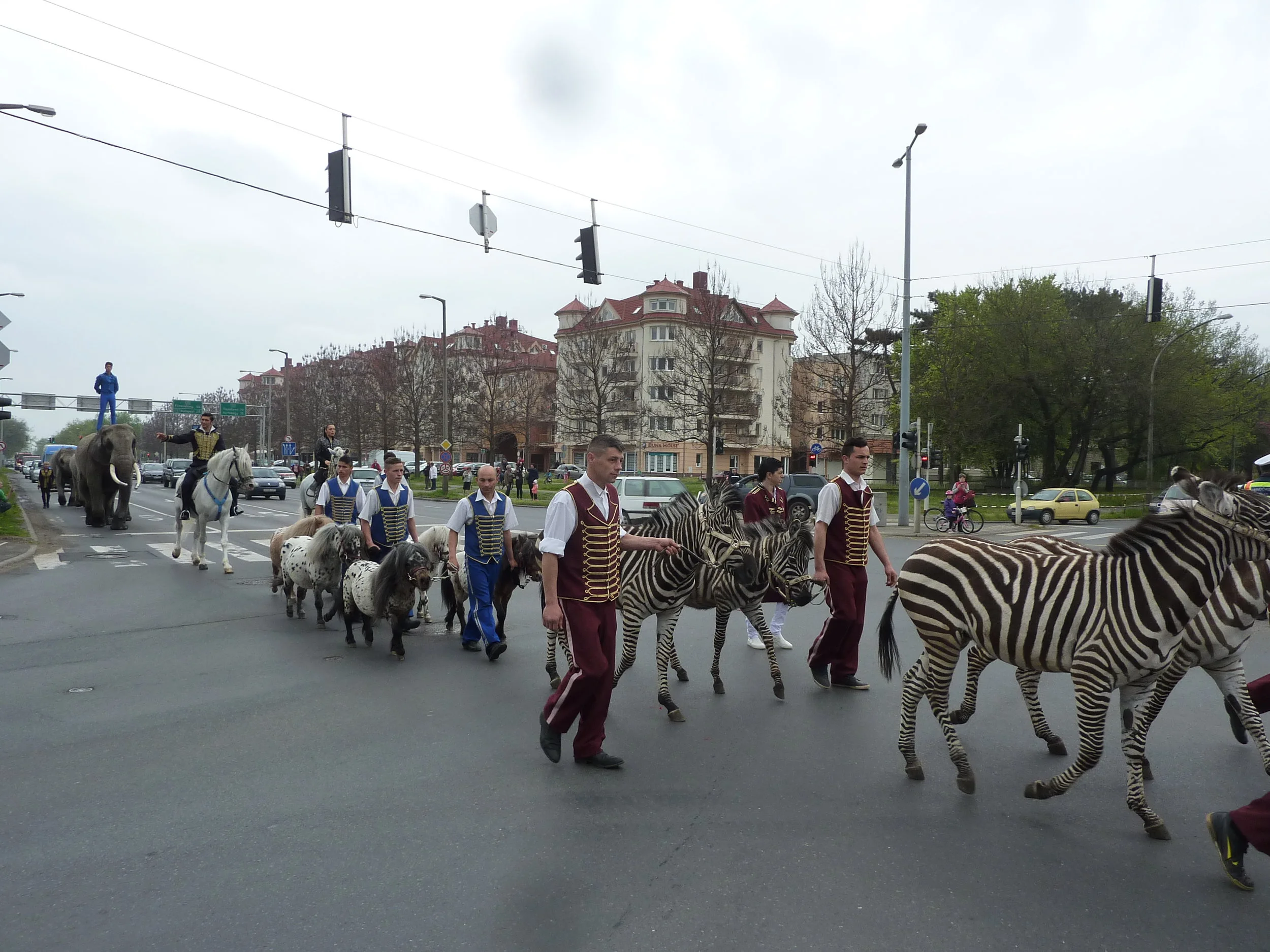 Look deeper... — The Centre for Circus Culture