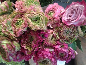 Ranunculus — Tania Muser