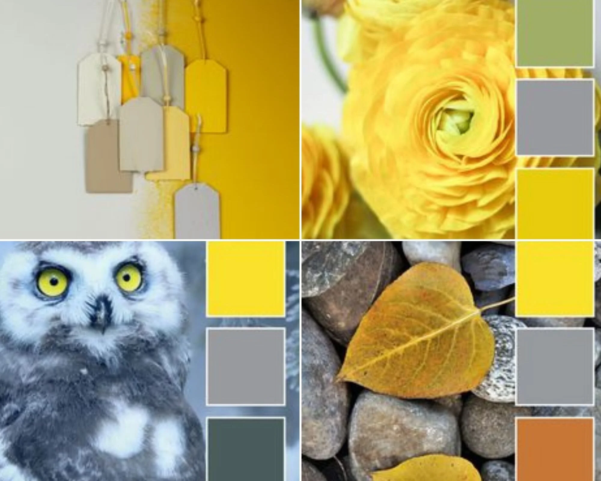 Dieci fiori e verdi da abbinare al PANTONE 2021. — Tania Muser