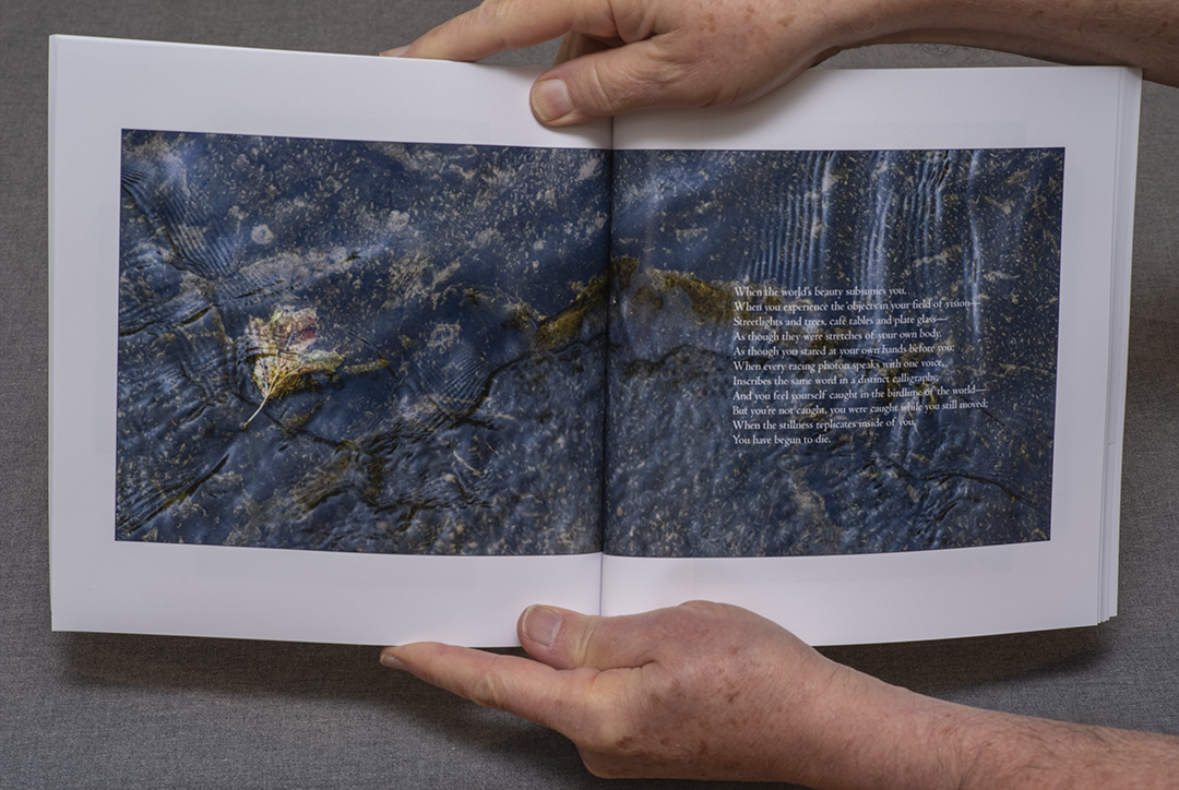 Books - A Glimpse of Death from the Vantage Point of Love — Unbound Art